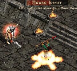 Council Member - Diablo 2 Wiki