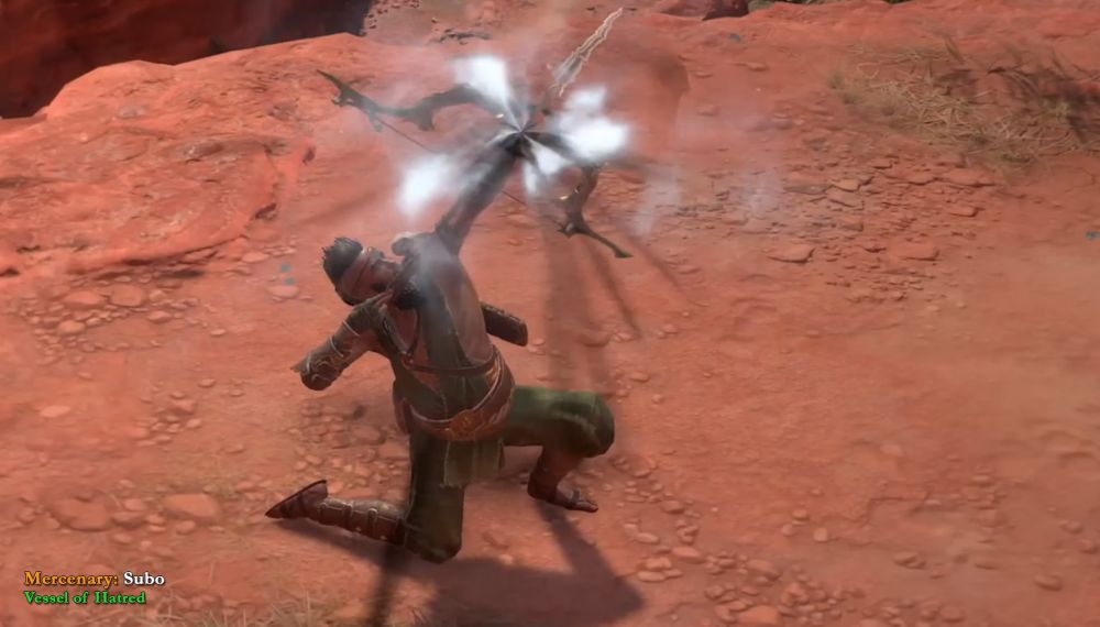 Subo Mercenary - Diablo 4