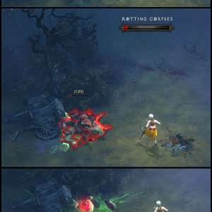 Rotting Corpses | PureDiablo Forums - The Diablo Community forums