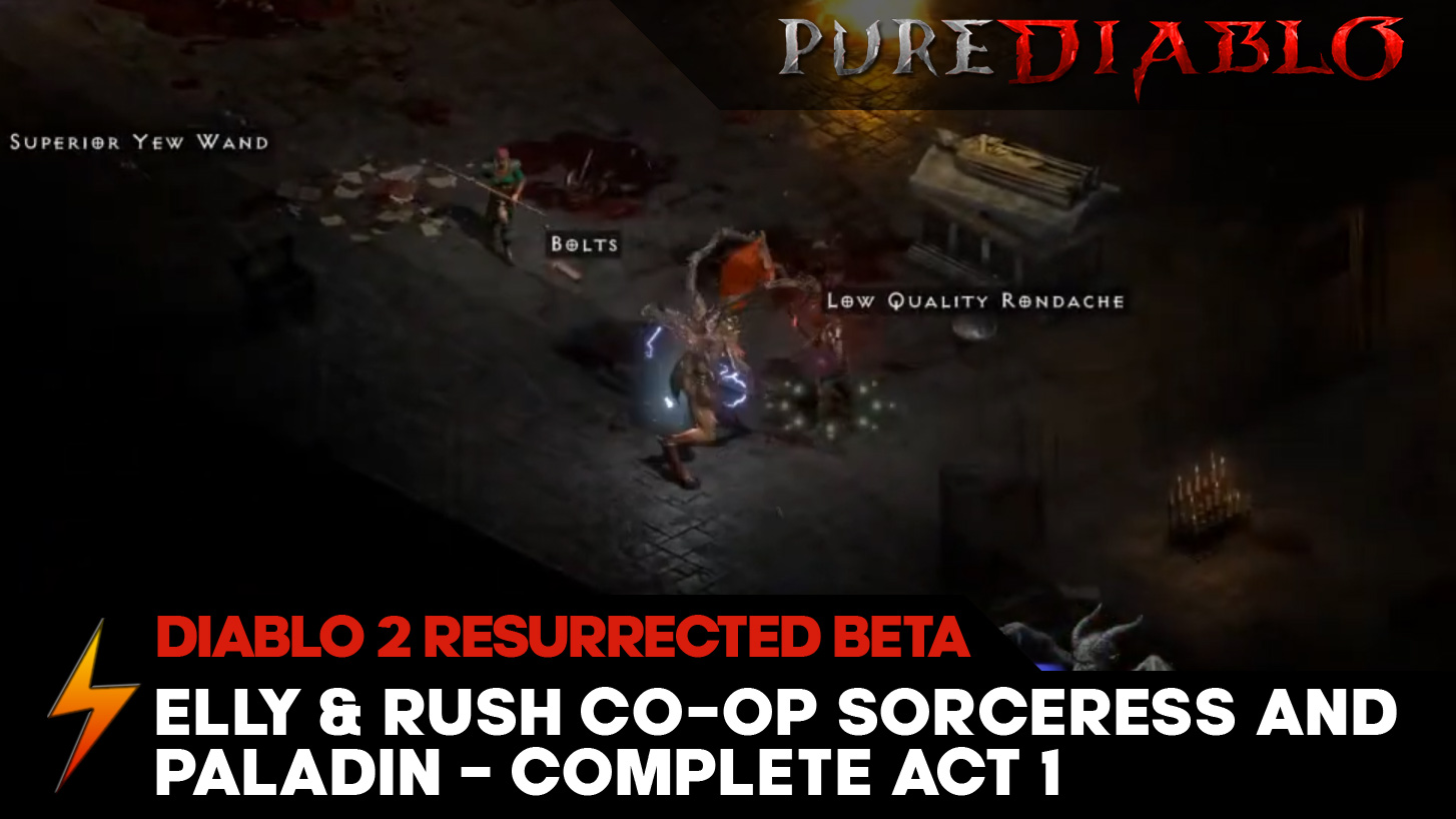 Elly and Rush co-op Diablo 2 Resurrected beta Act 1 live stream footage